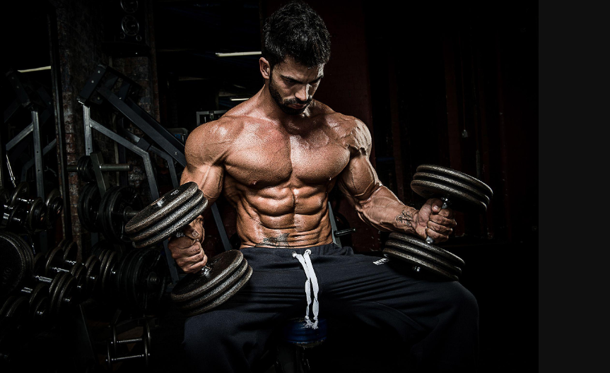 Understanding Lean Bulks, Dirty Bulks, and Cuts – Ascend